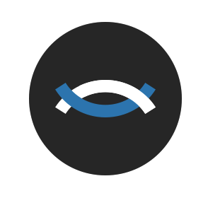 SAVVY Security API Reference